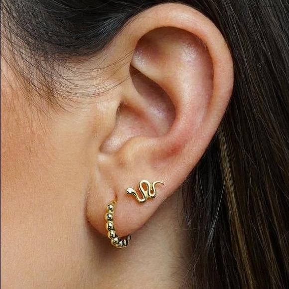Urban Outfitters | Jewelry | Dainty Gold Snake Stud Earrings | Poshmark
